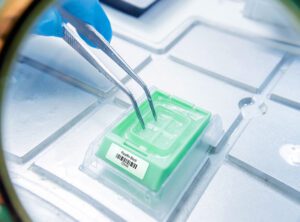 Paraffin Block & Cassette - Electronic Imaging Materials