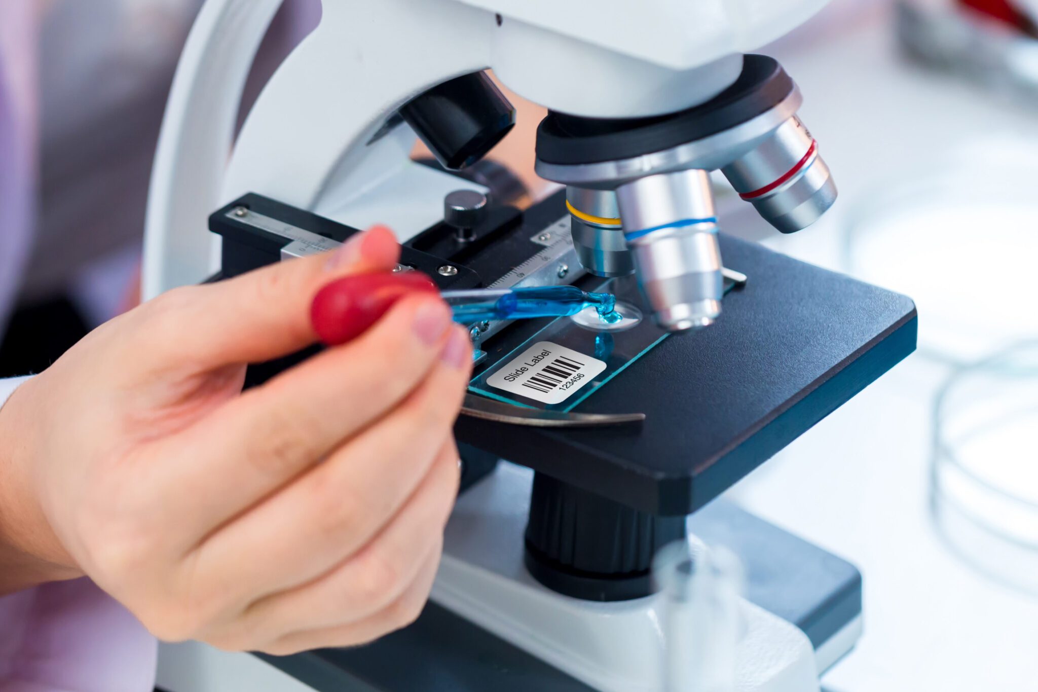 Slide Labels - Electronic Imaging Materials