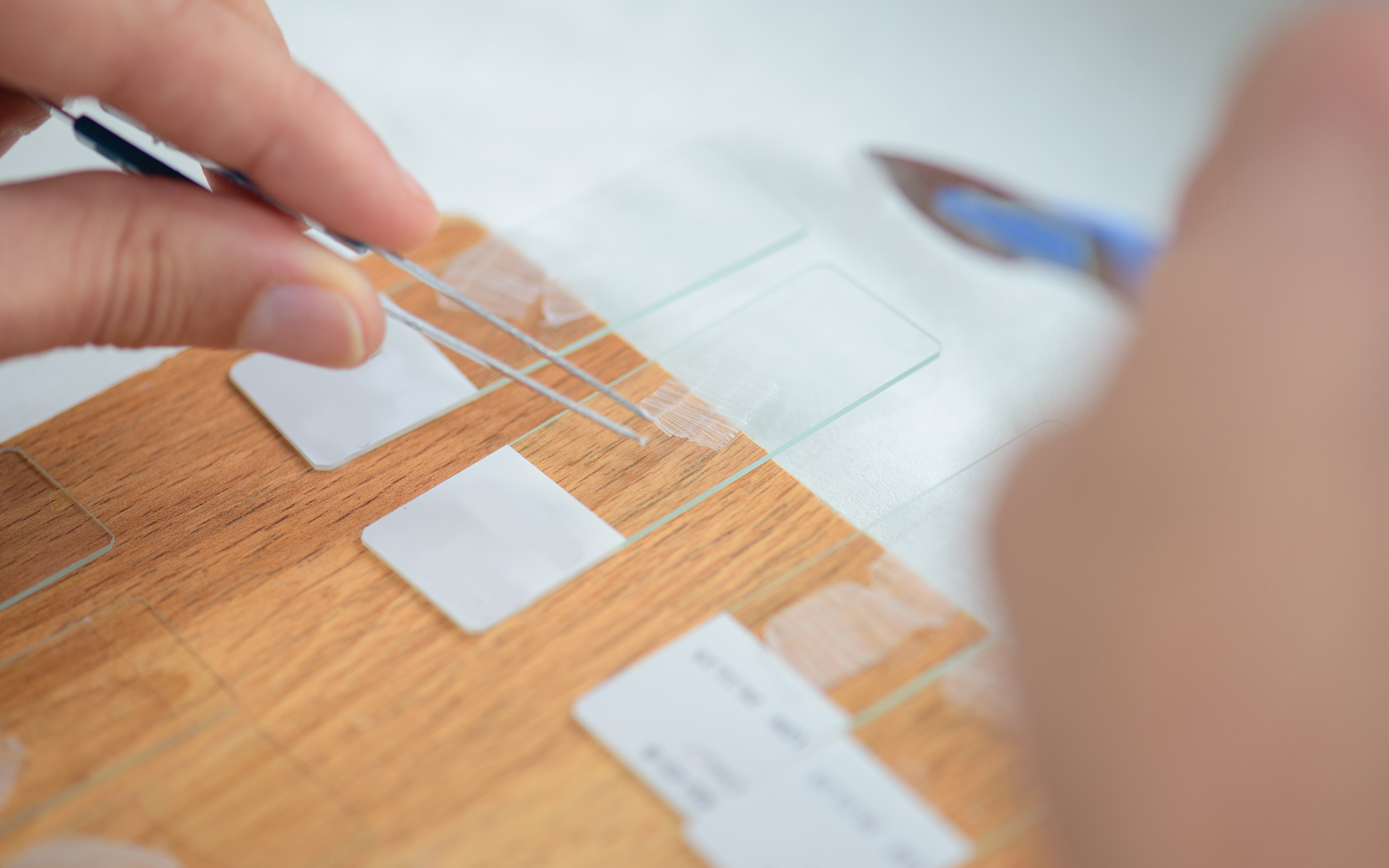 Practicing Smart Lab Label Selection for Glass Slides